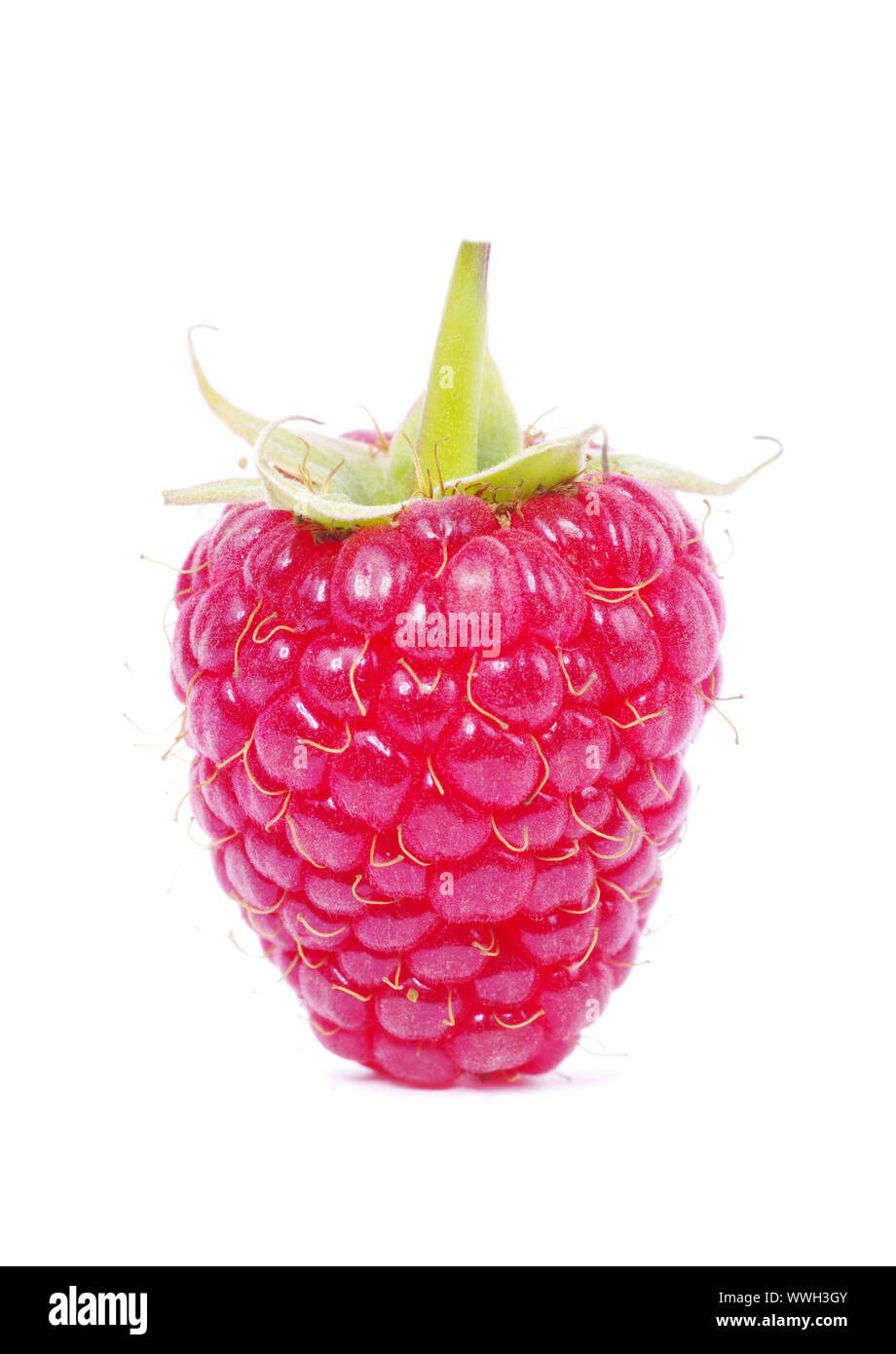 fresh raspberry closeup isolated on white background Stock Photo - Alamy