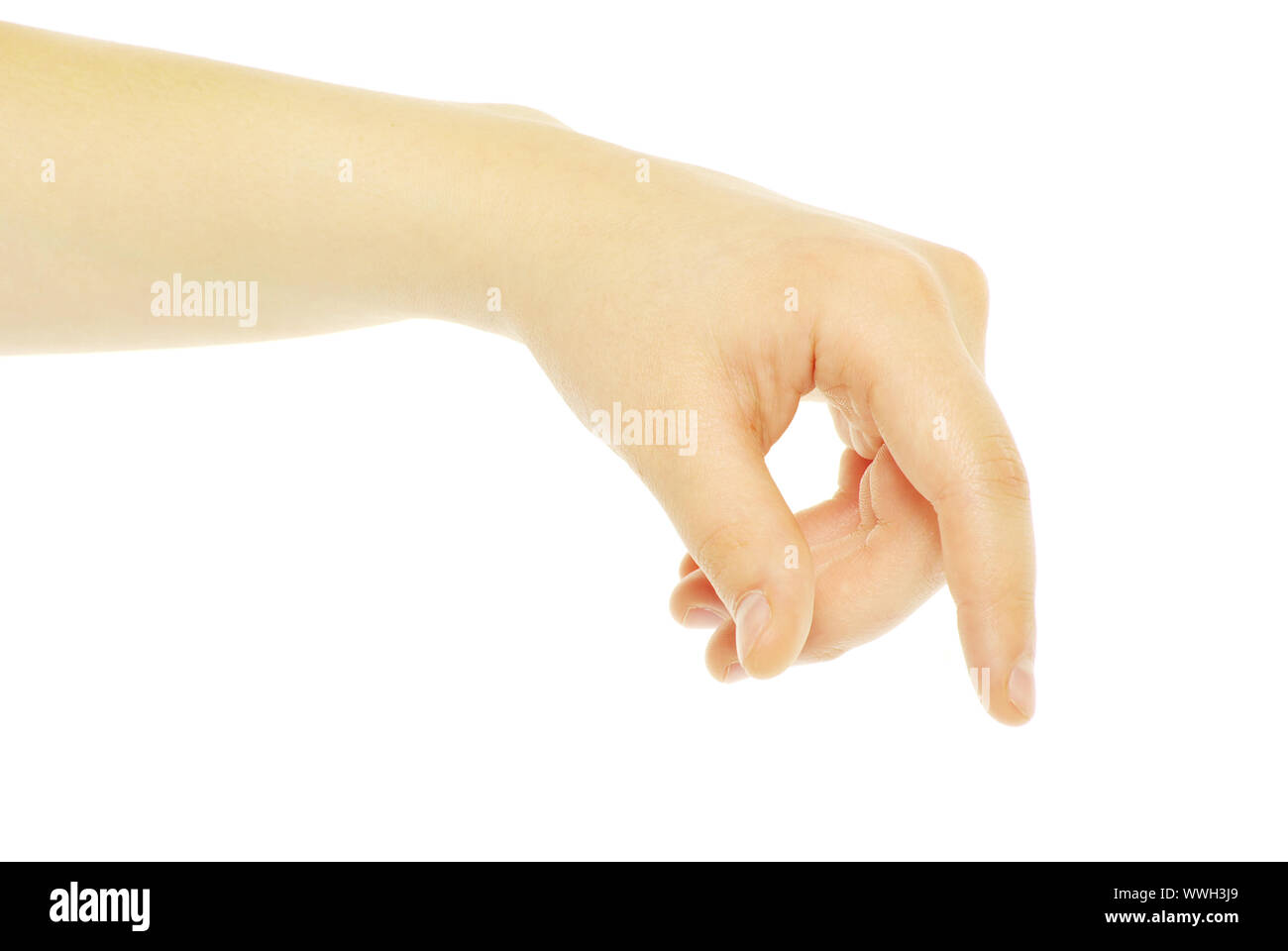 hand isolated on a white Stock Photo - Alamy