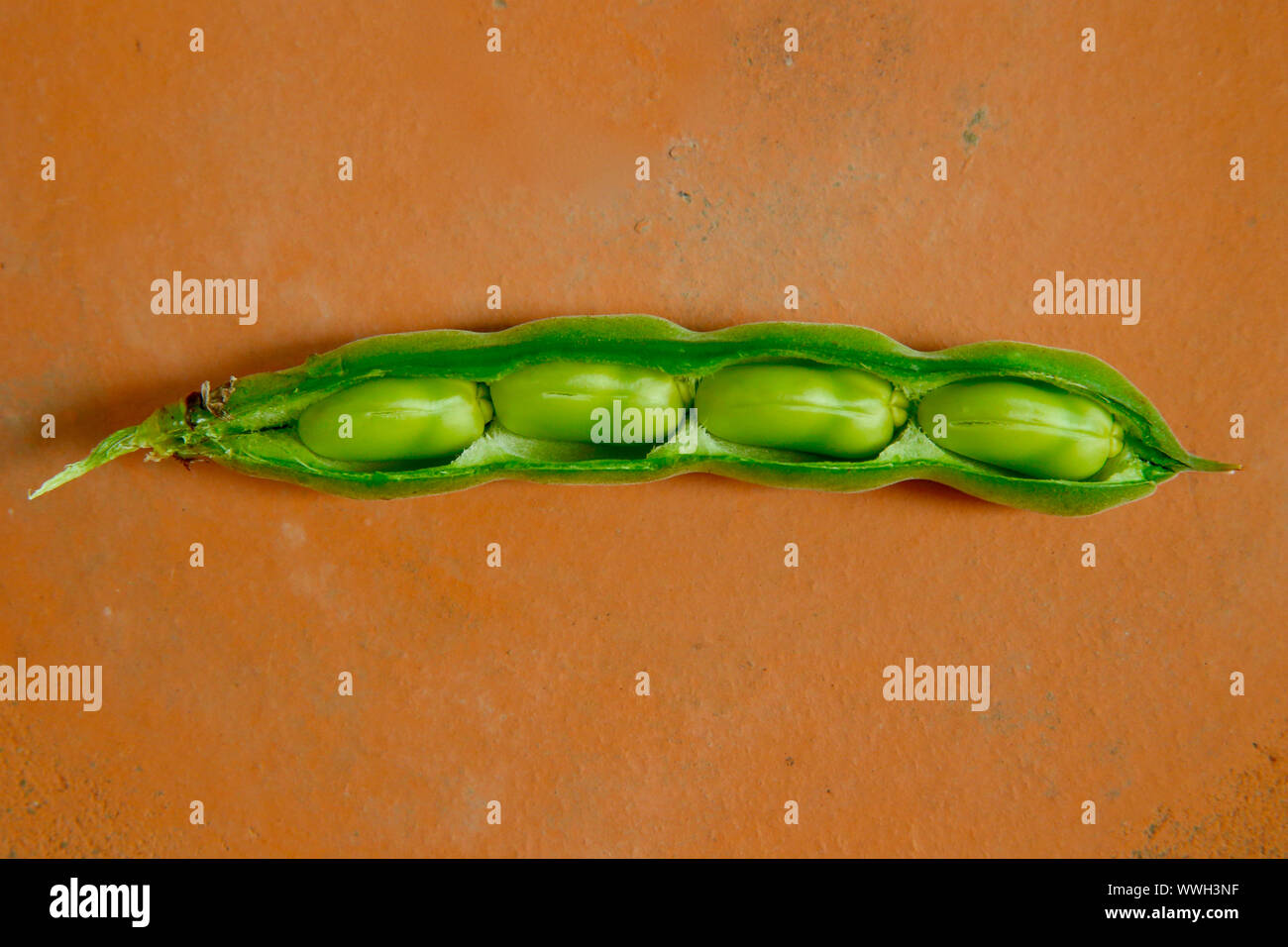 Pretty beans hi-res stock photography and images - Alamy