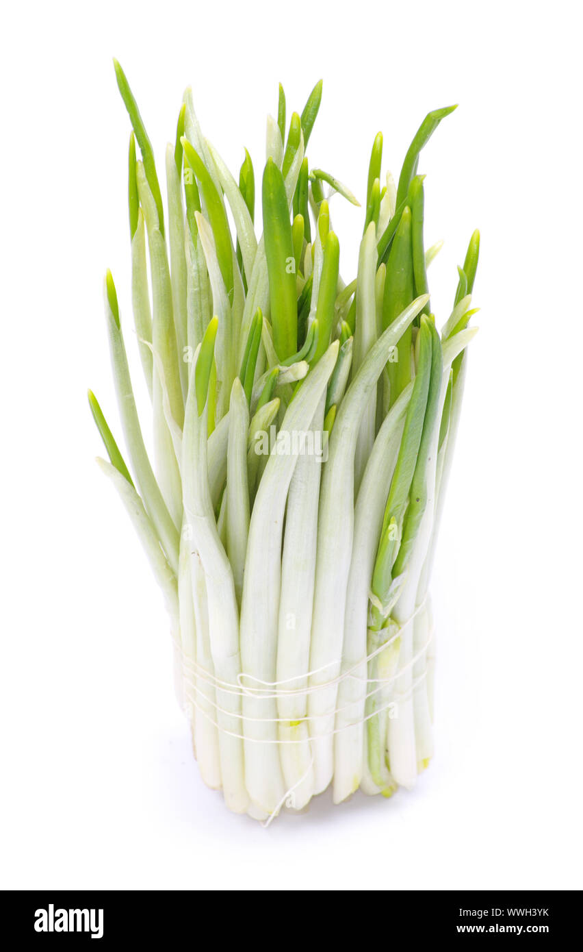 ramson bunch vegetable isolated on white background Stock Photo - Alamy