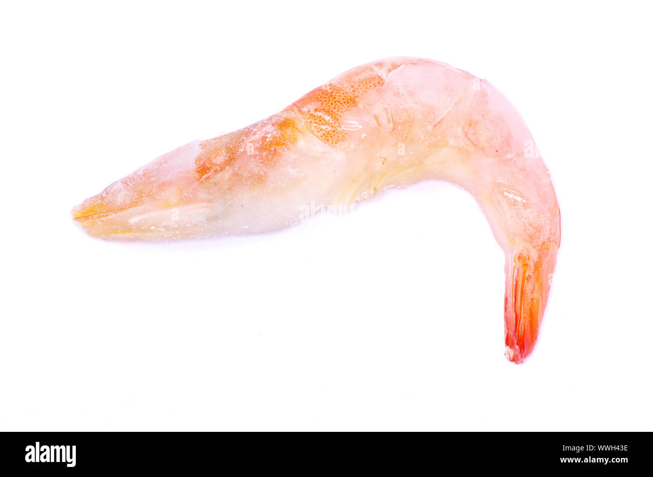 shrimp isolated on a white background Stock Photo - Alamy