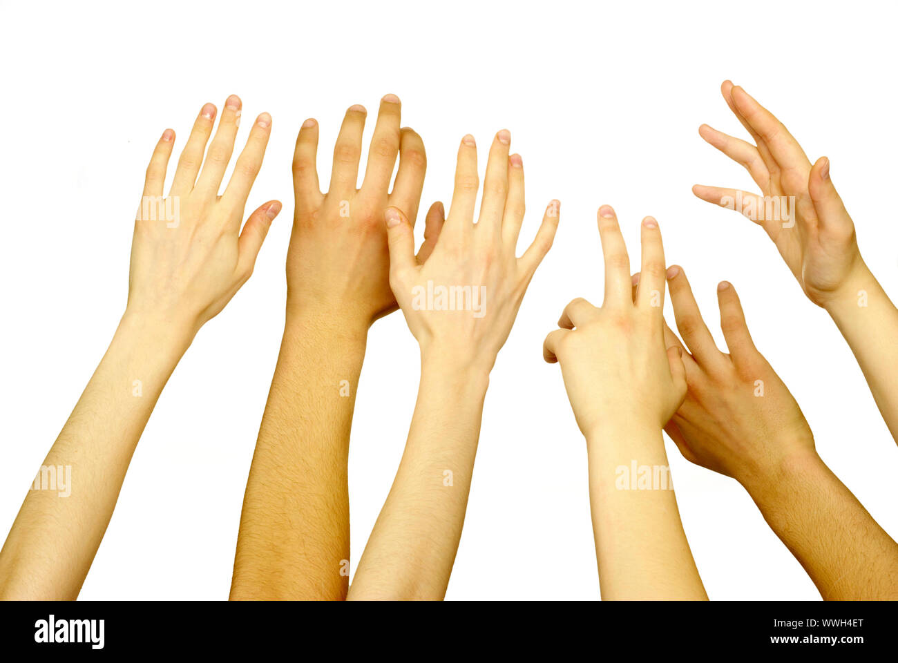 Many hand lifted up on white background Stock Photo - Alamy