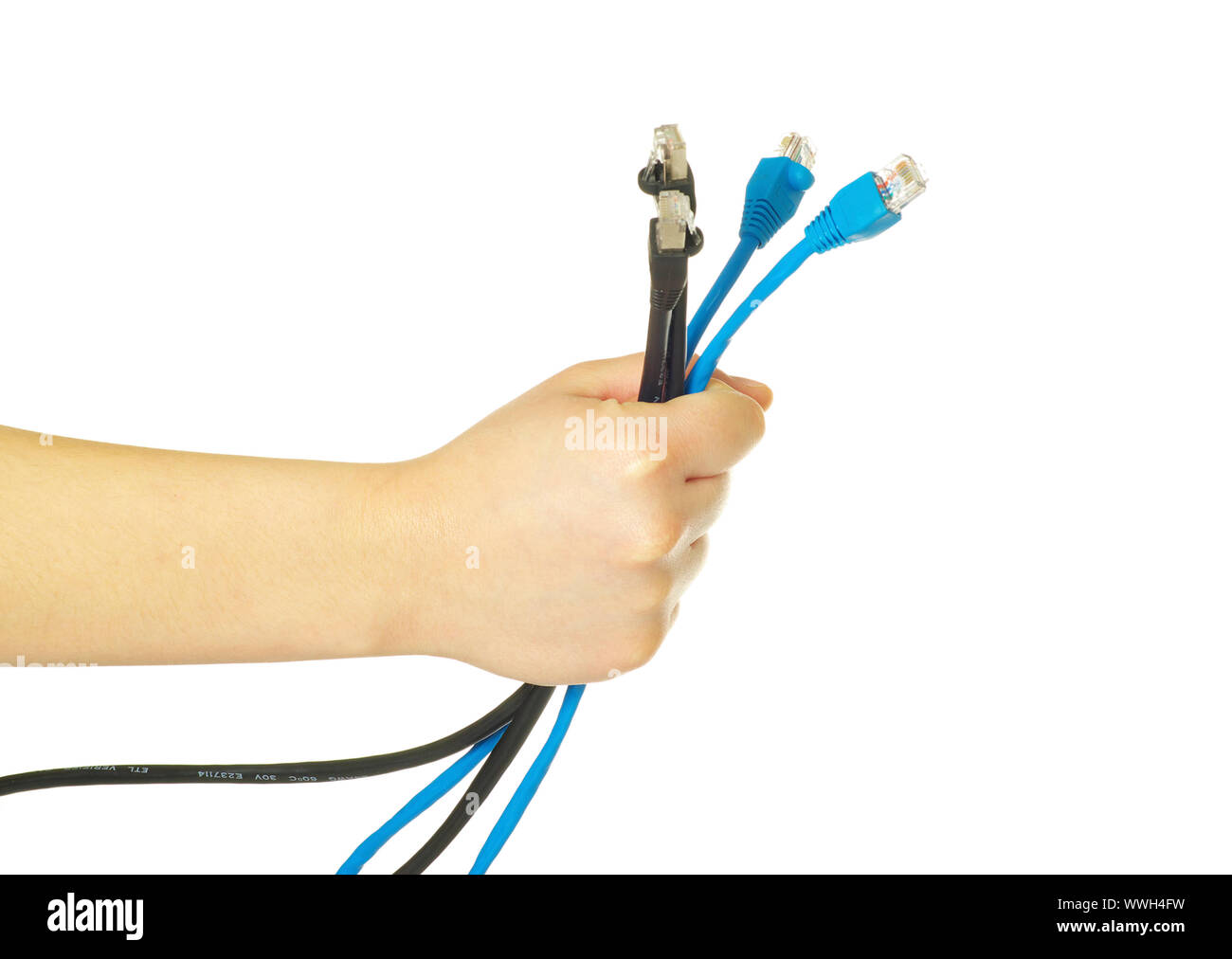 Computer cables in hand isolated on white background Stock Photo - Alamy