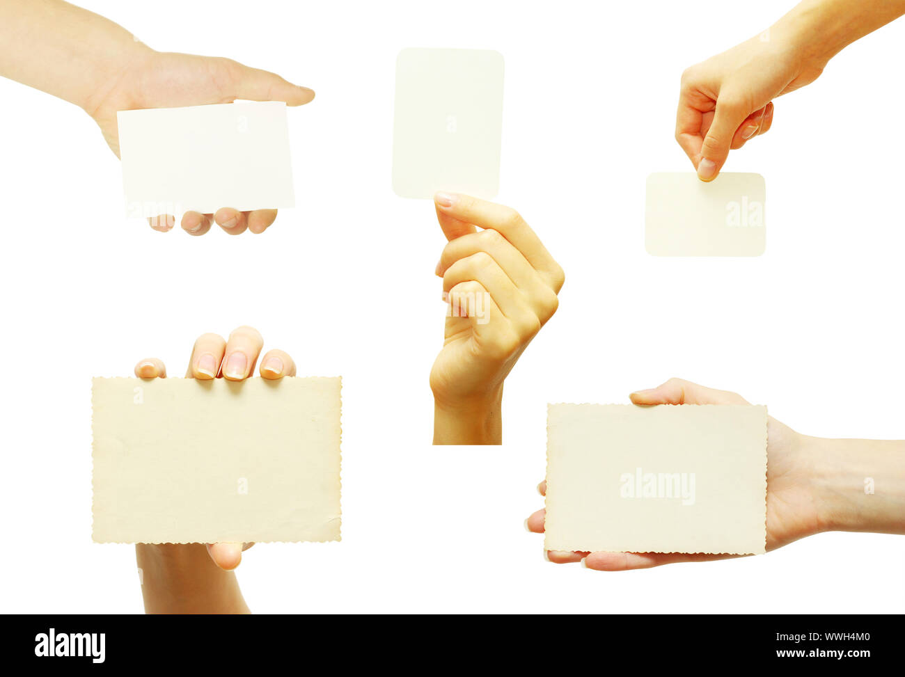 card blank in a hand Stock Photo - Alamy