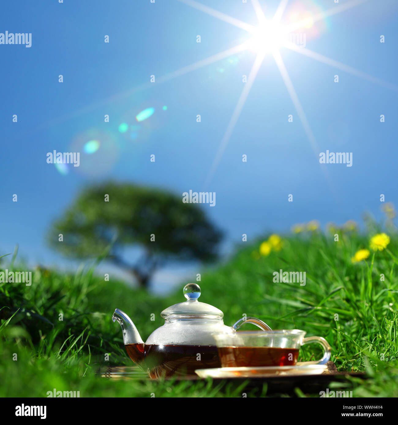 Natural tea in the pot Stock Photo - Alamy