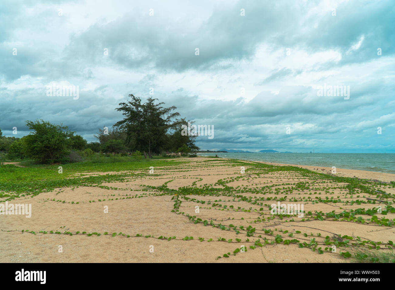 U tapao hi-res stock photography and images - Alamy