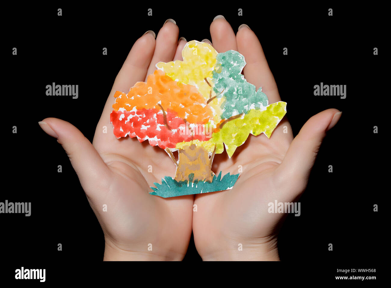 tree in the hands on a black background Stock Photo - Alamy