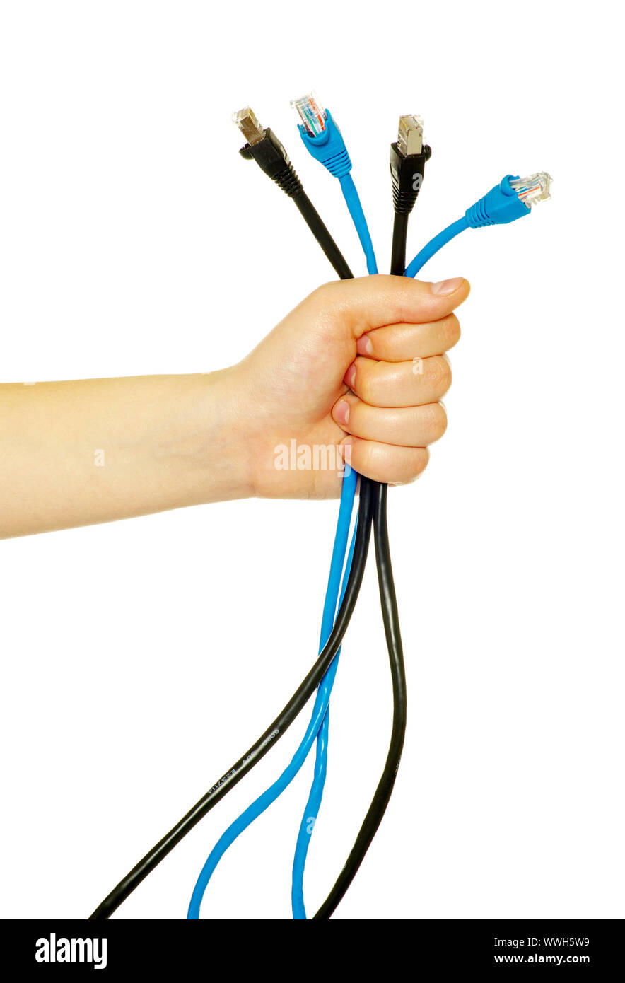 Computer cables in hand isolated on white background Stock Photo - Alamy