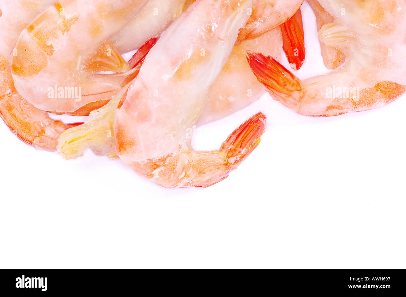 shrimp isolated on a white background Stock Photo - Alamy