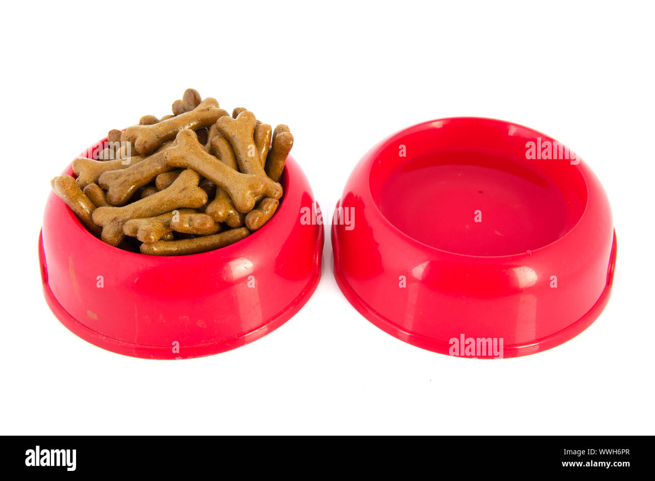 Two bones dog hi-res stock photography and images - Alamy