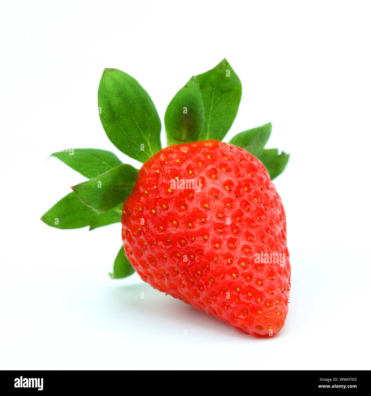 one strawberry isolated on white Stock Photo - Alamy