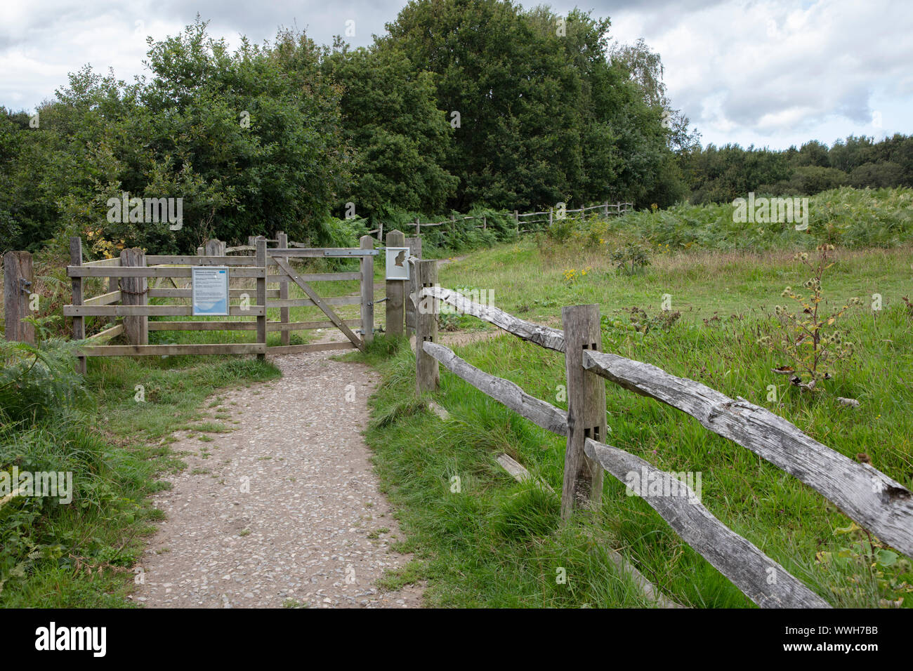 Ditchling Common East Sussex High Resolution Stock Photography and ...