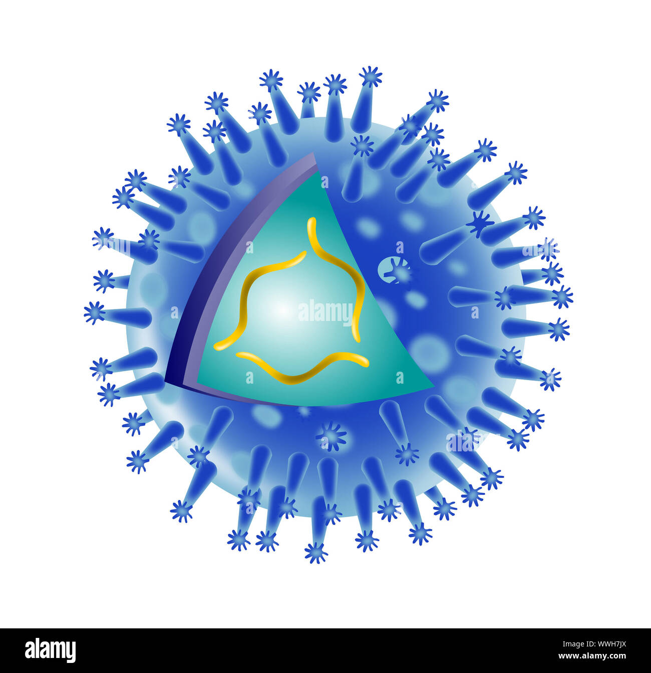 illustration of a flu virus structure on isolated background Stock ...