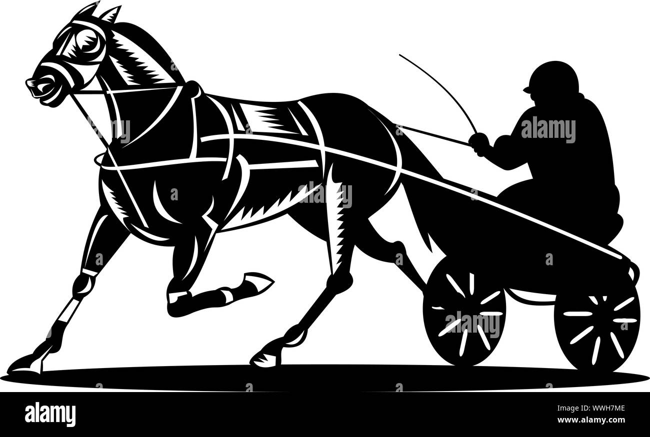illustration of a horse and jockey harness racing on isolated white ...