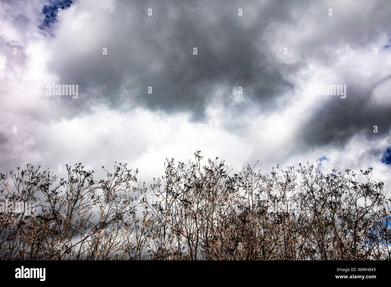 Dramatic Cloudy Sky over Ditchling Common Countryside, West Sussex ...