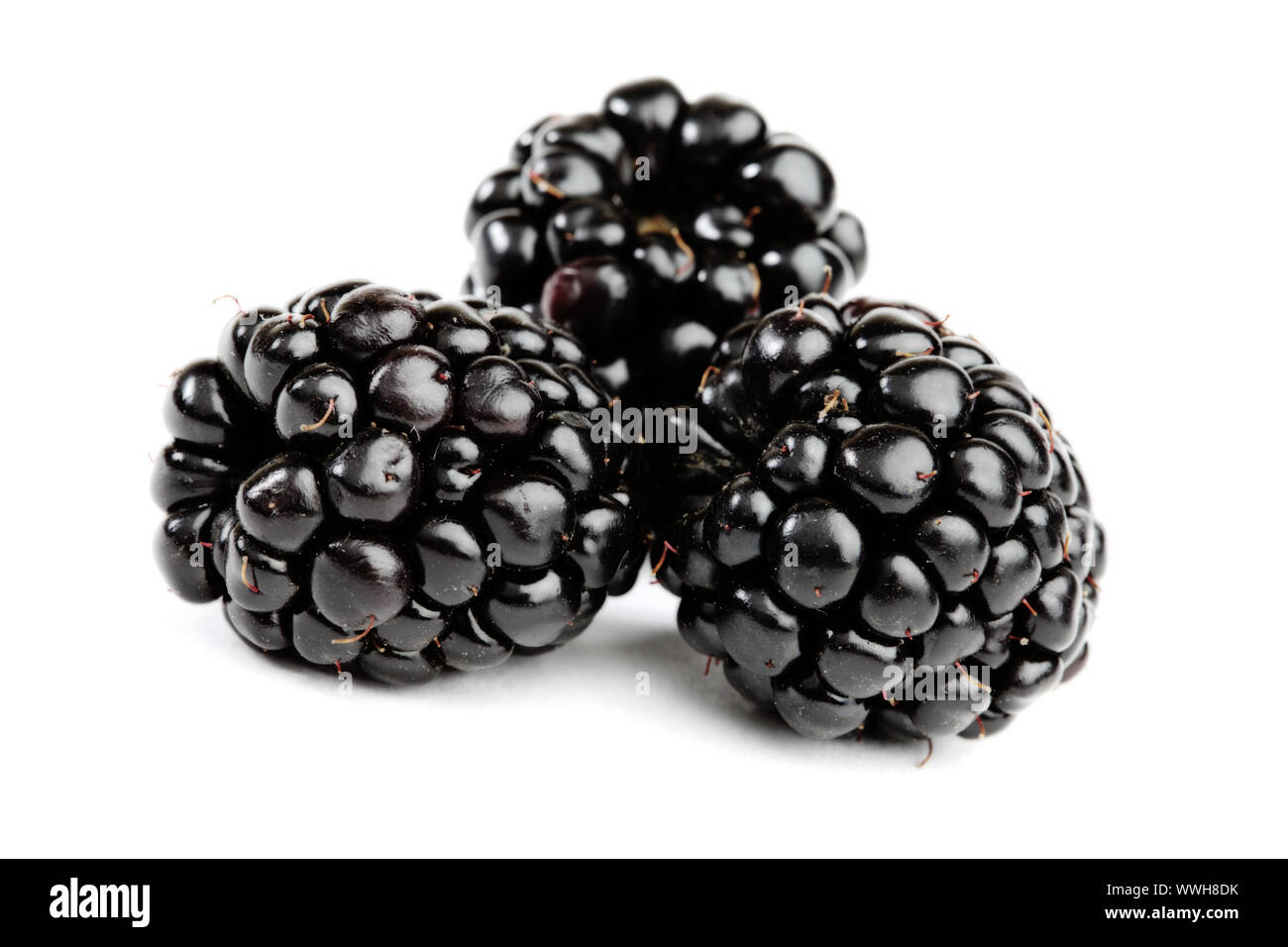 blackberry isolated on white background Stock Photo - Alamy