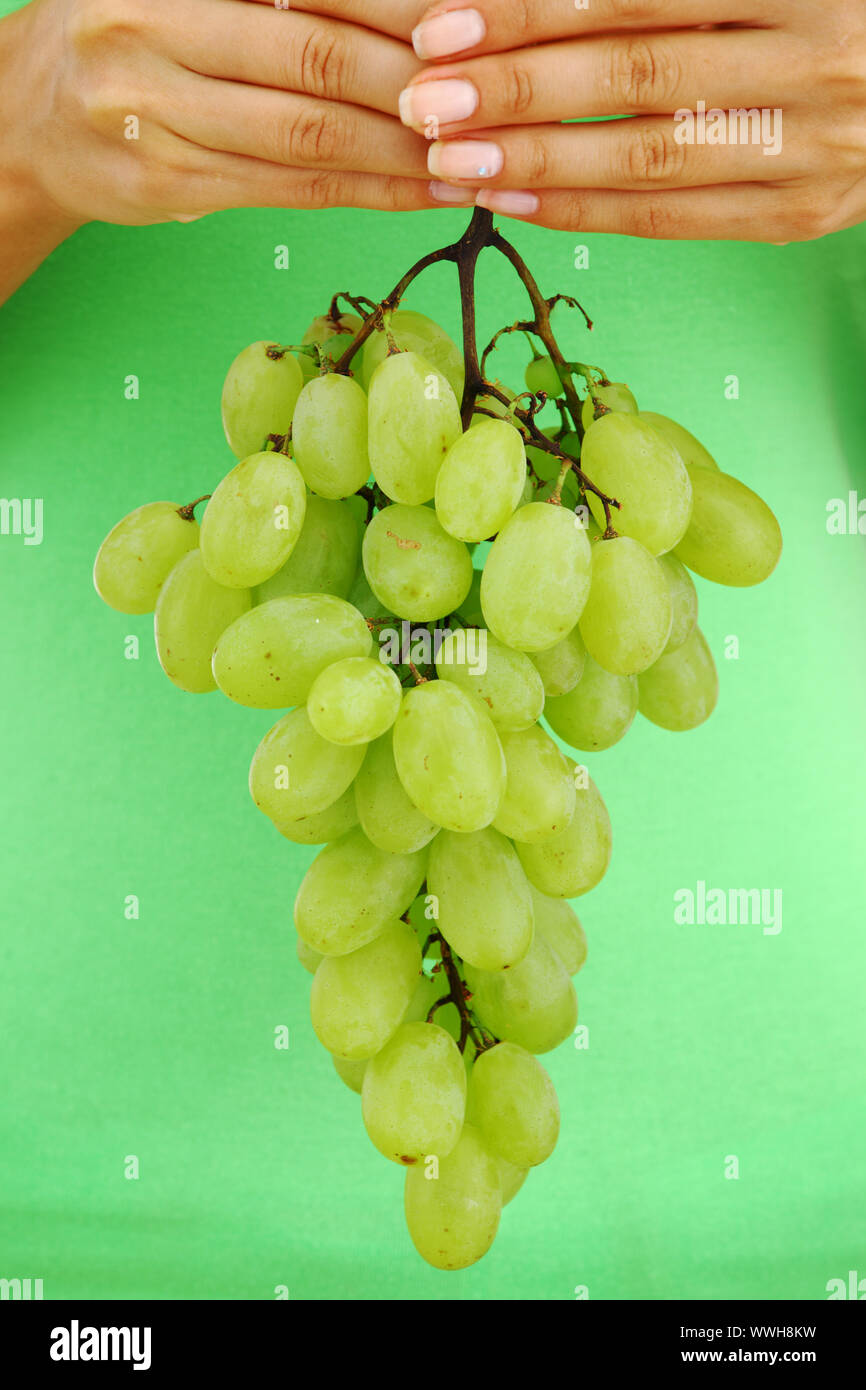 Grape harvest closeup human hands hi-res stock photography and images ...