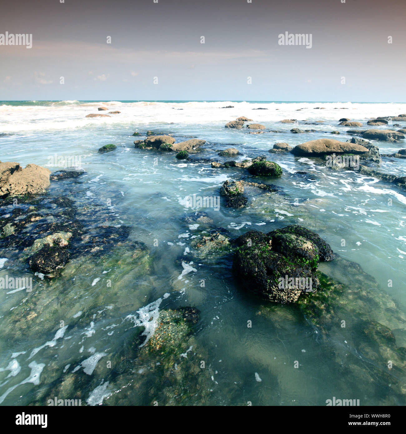 Reef stones an ocean water Stock Photo - Alamy