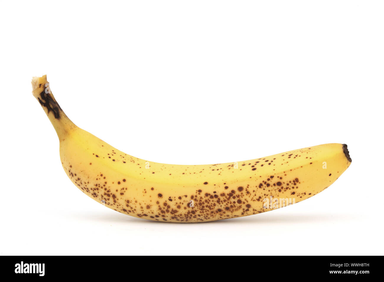 Whole banana tree Cut Out Stock Images & Pictures - Alamy