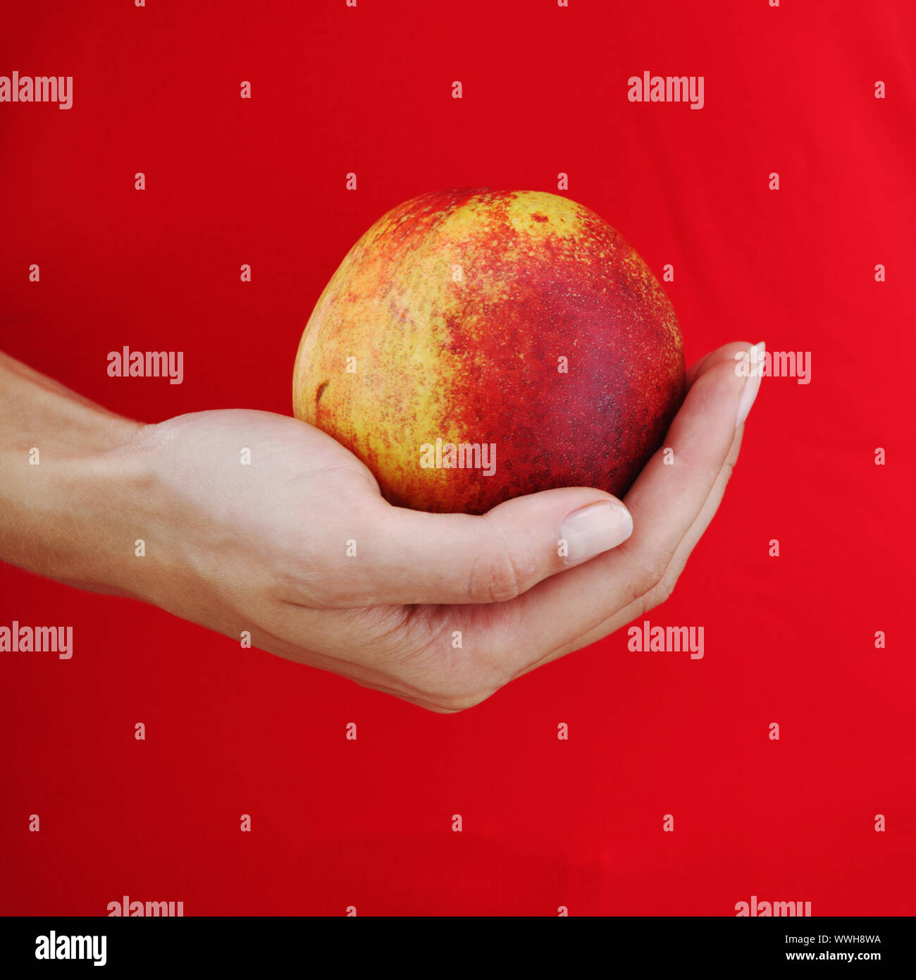 peach in woman hands close up Stock Photo - Alamy