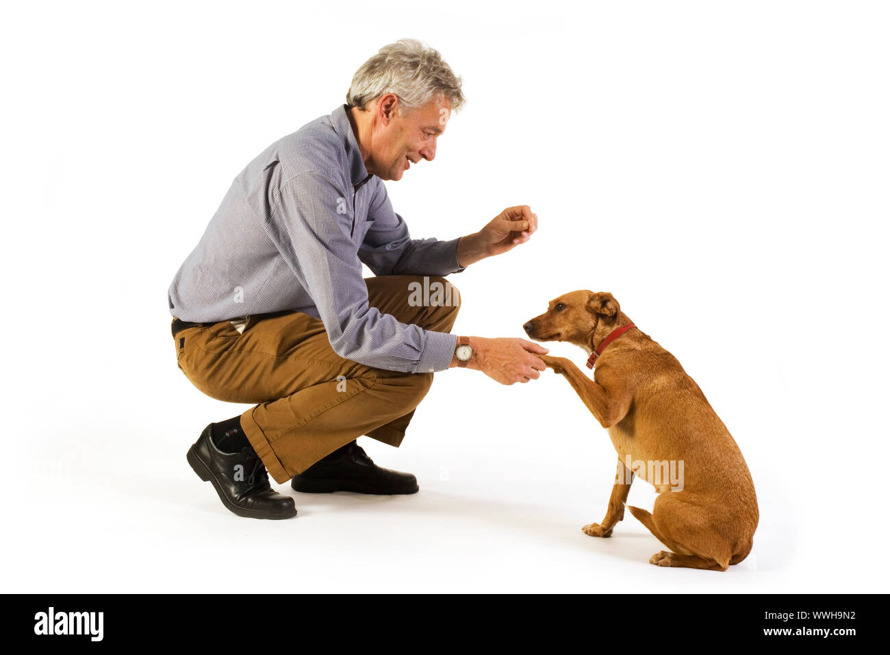Obedience drill hi-res stock photography and images - Alamy