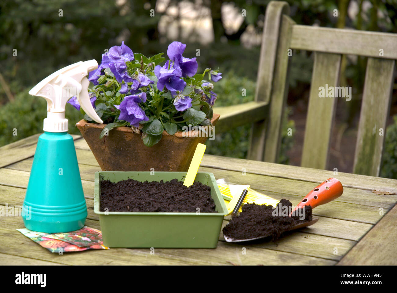 Sowing seeds plants in ground hi-res stock photography and images - Alamy