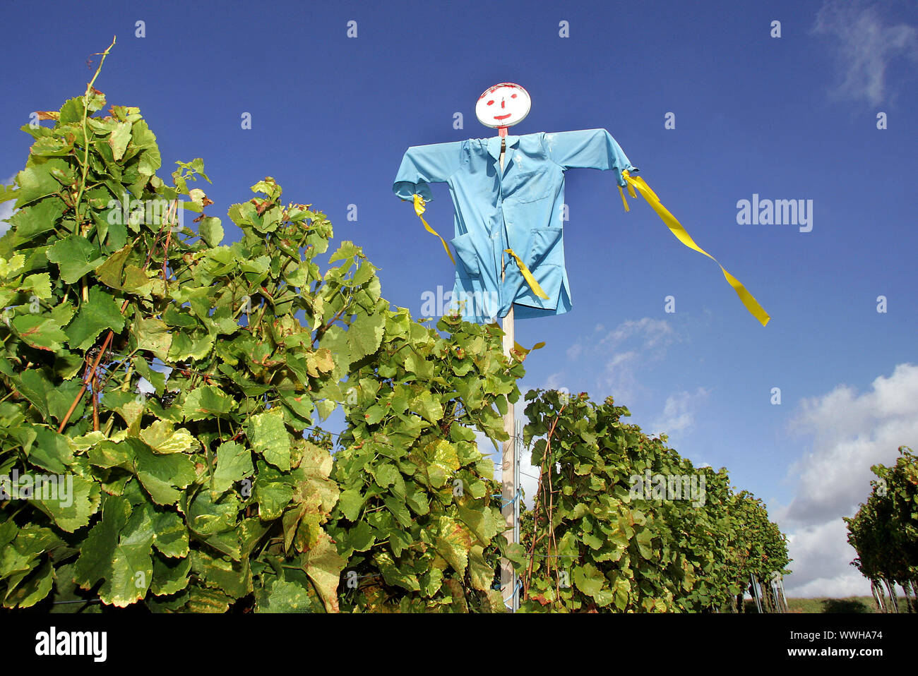 Scarecrow man hi-res stock photography and images - Alamy