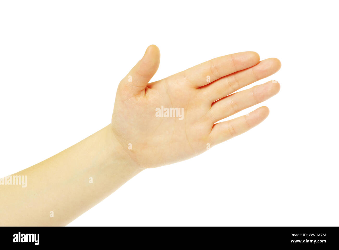 hand isolated on a white Stock Photo - Alamy