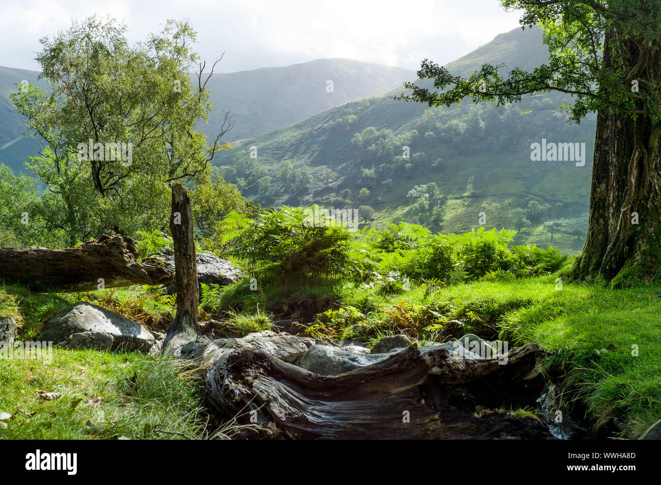Lower slopes of Dovedale English Lake District in late Summer 2019 ...