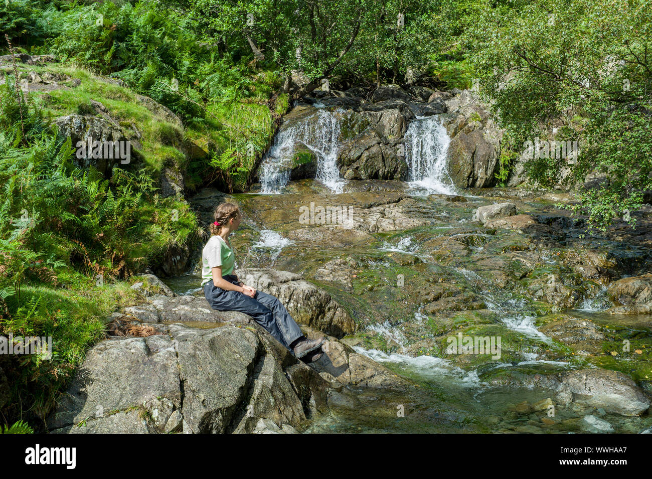 Waterfall on Lower slopes of Dovedale English Lake District in late ...