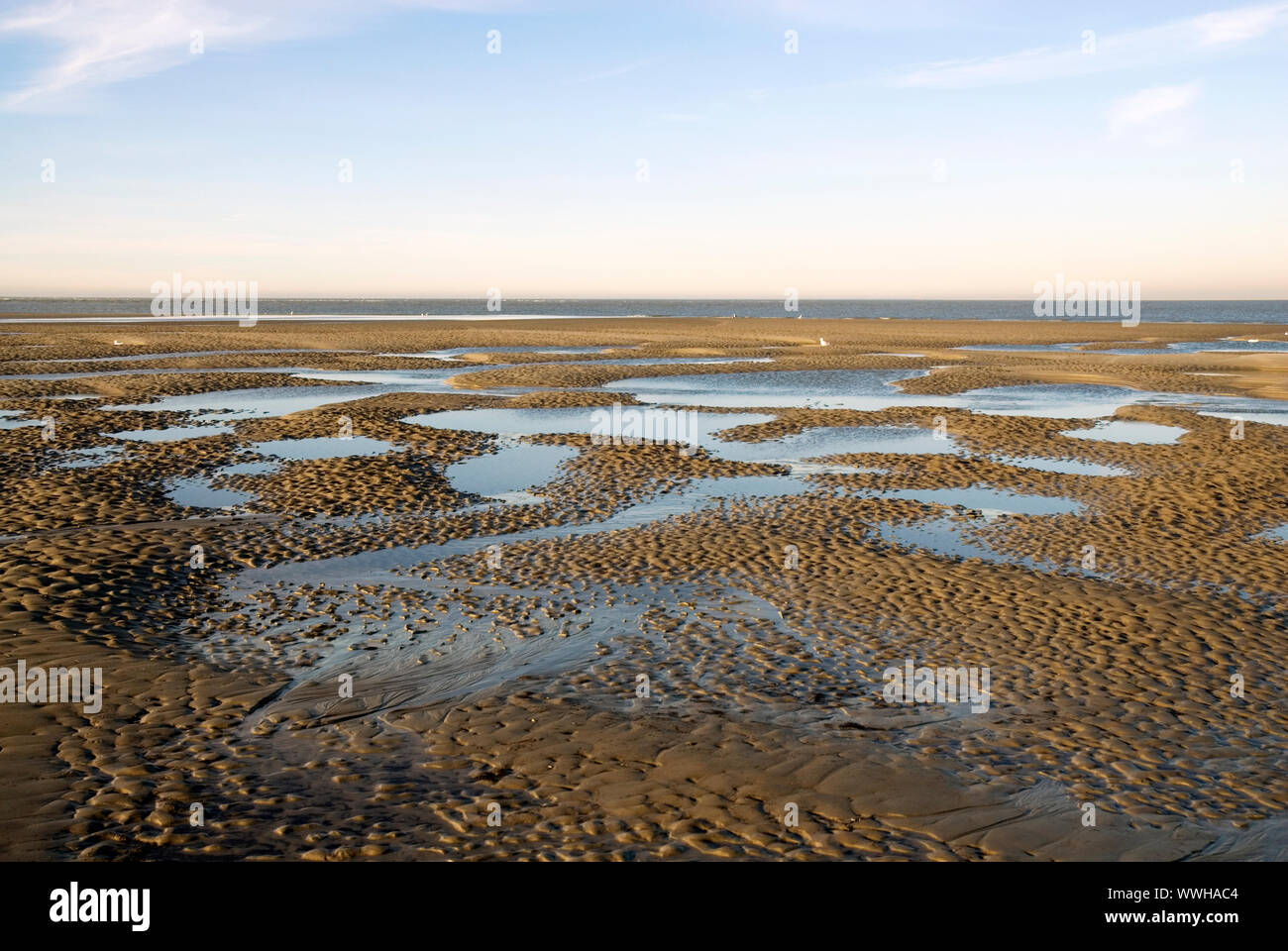 becoming low tide at the beach Stock Photo - Alamy