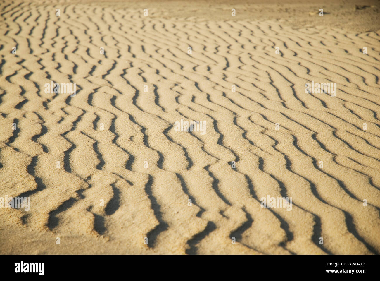 sand pattern blowing by the wind Stock Photo - Alamy