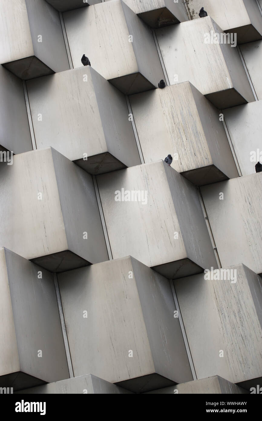 Abstract photo of a building facade with pigeons perched on top of the ...