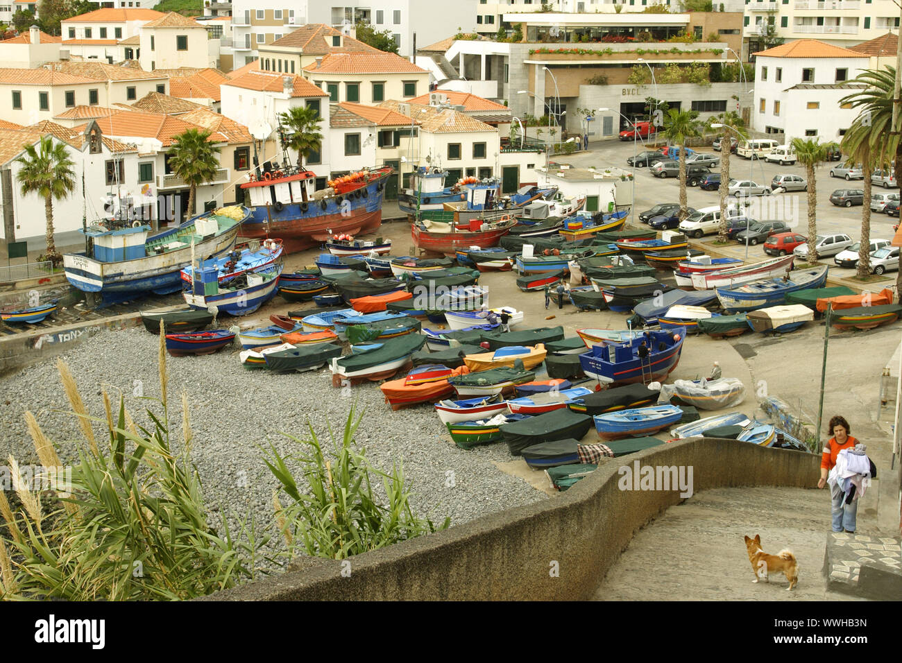 Portugal, Madeira, fishing boats at the port of Camara de Lobos Stock ...