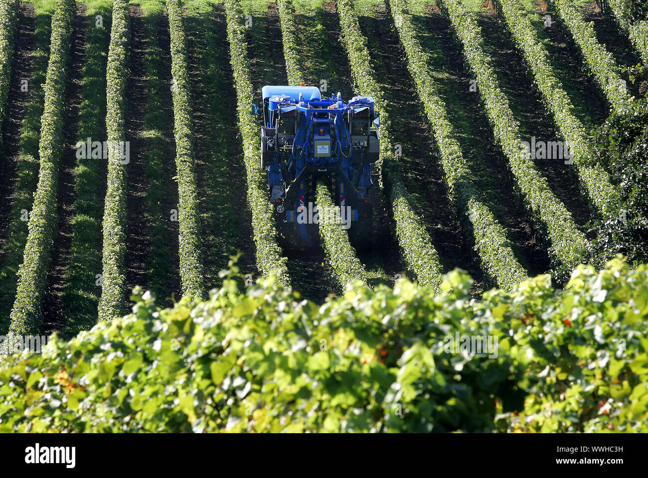 Vintage harvester hi-res stock photography and images - Alamy