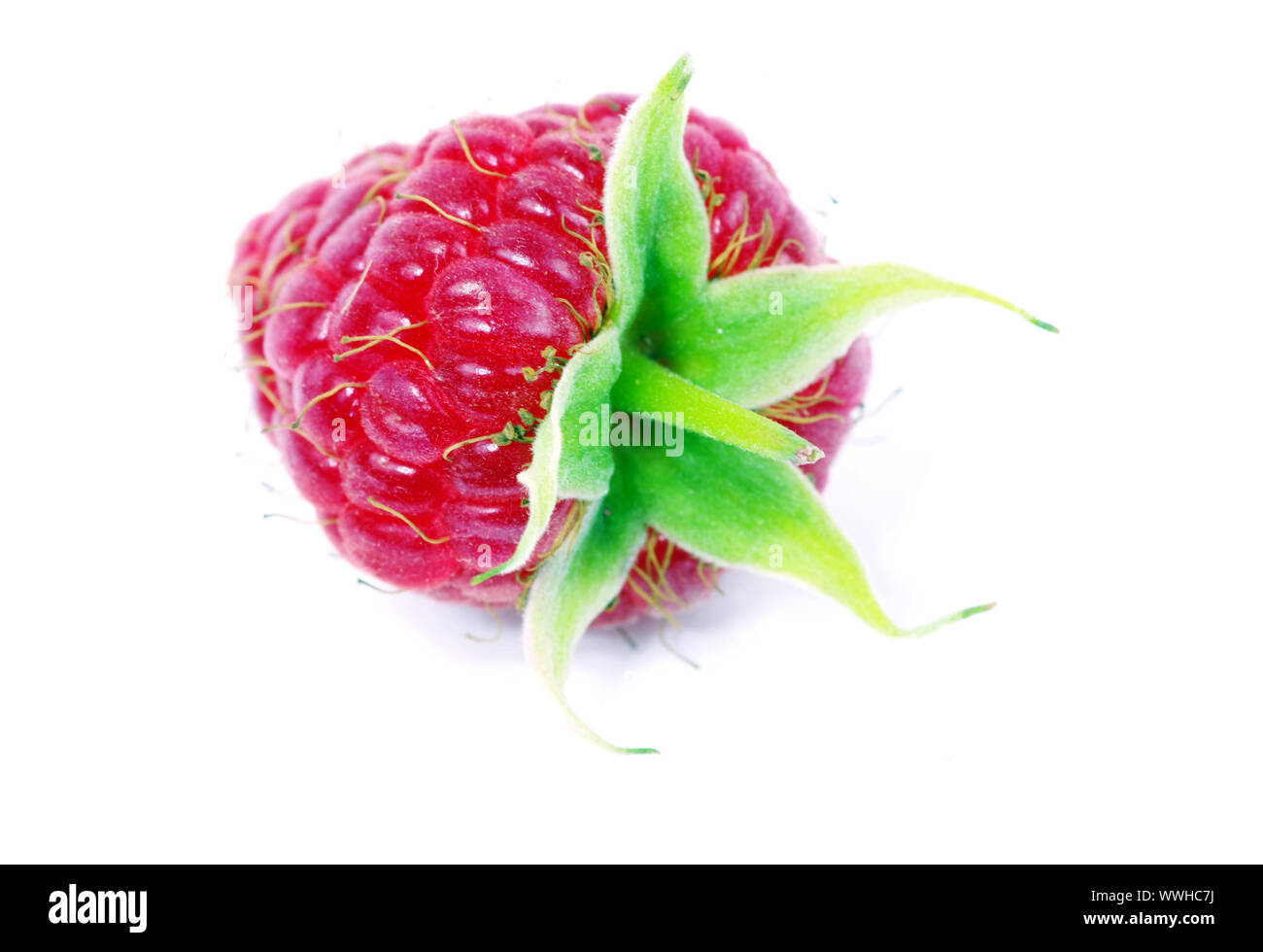 fresh raspberry closeup isolated on white background Stock Photo - Alamy
