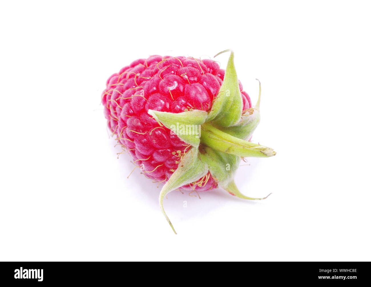 fresh raspberry closeup isolated on white background Stock Photo - Alamy