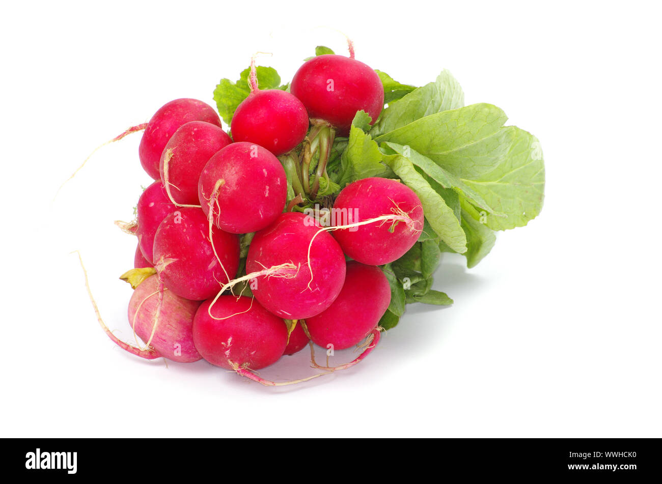 Fresh radishes on a white background Stock Photo - Alamy