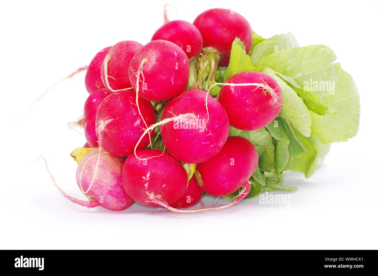 Many fresh ripe radishes Cut Out Stock Images & Pictures - Alamy