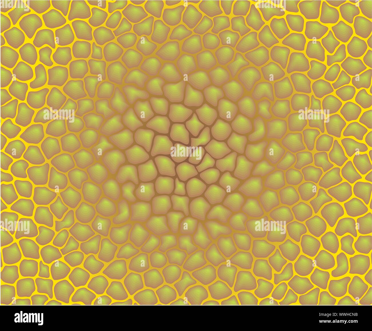 Vector color texture - pattern of cells Stock Vector Image & Art - Alamy