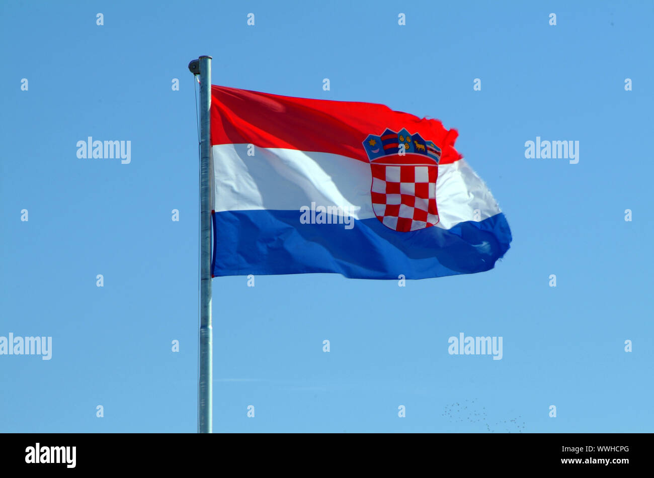 Croatian national flag Stock Photo - Alamy