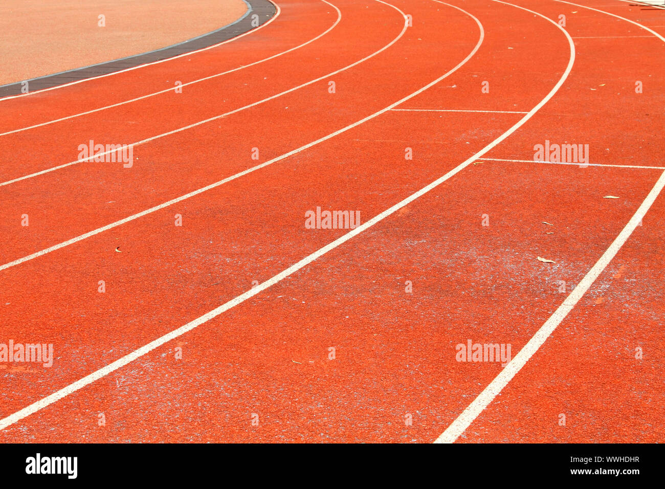 Running track lanes for athletes Stock Photo - Alamy