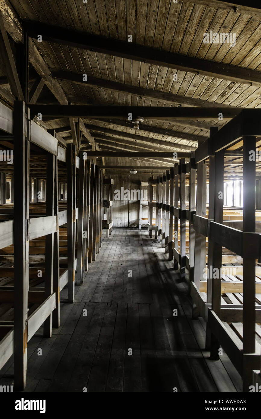 Bunk beds of a concentration camp, detail of beds for prisoners Stock ...