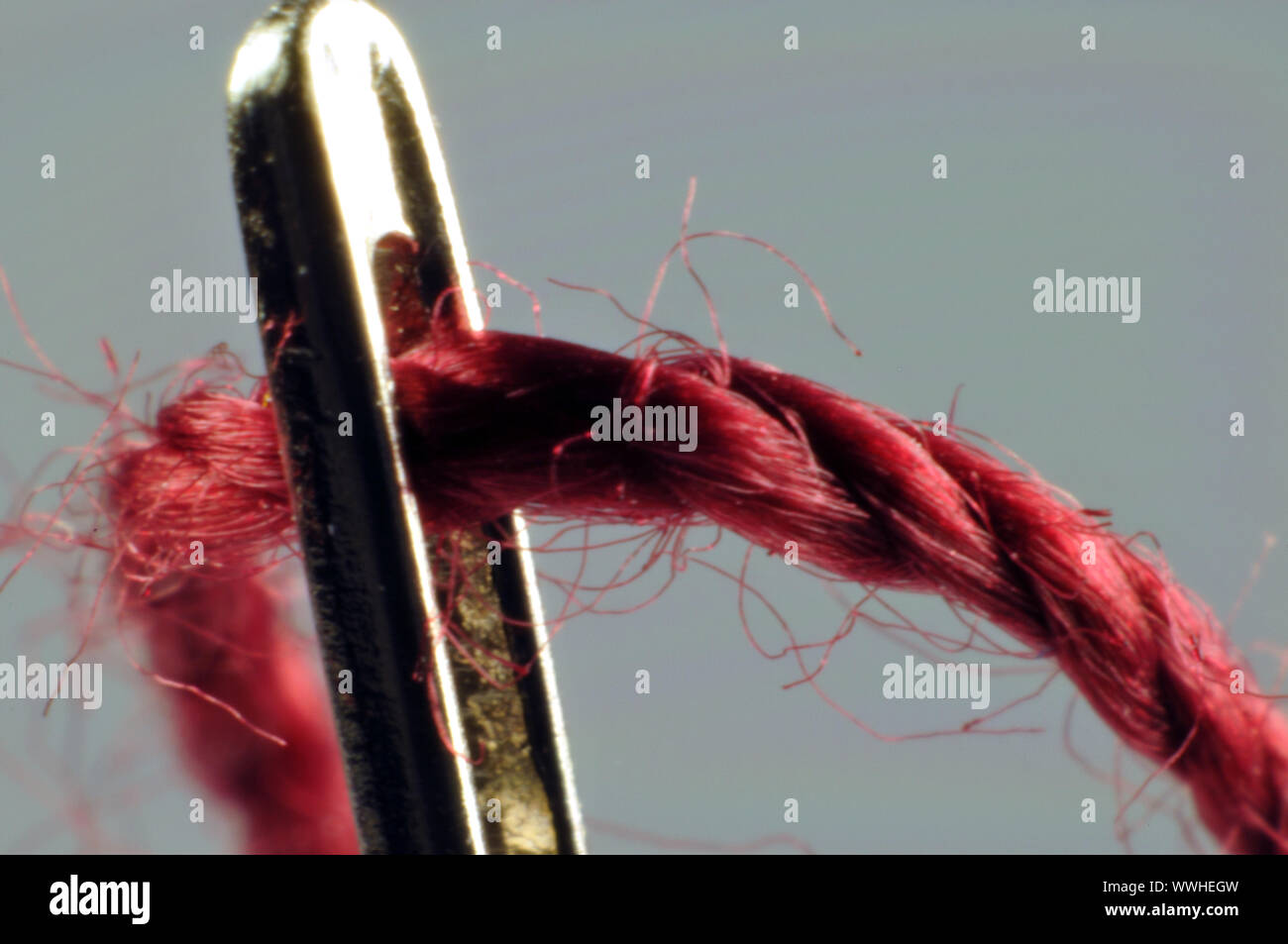 Eye of a needle hi-res stock photography and images - Alamy