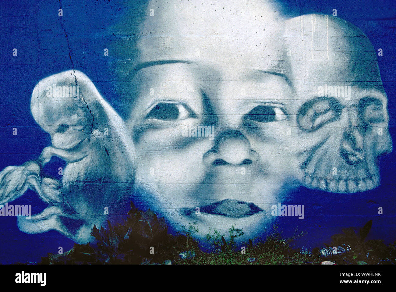 Birth to death hi-res stock photography and images - Alamy