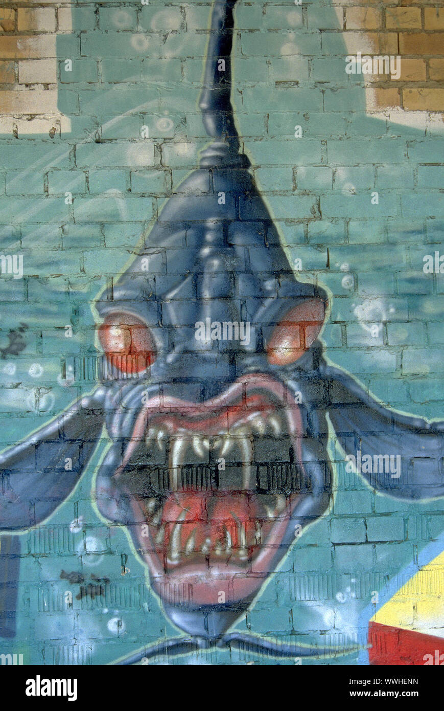 Killer fish hi-res stock photography and images - Alamy