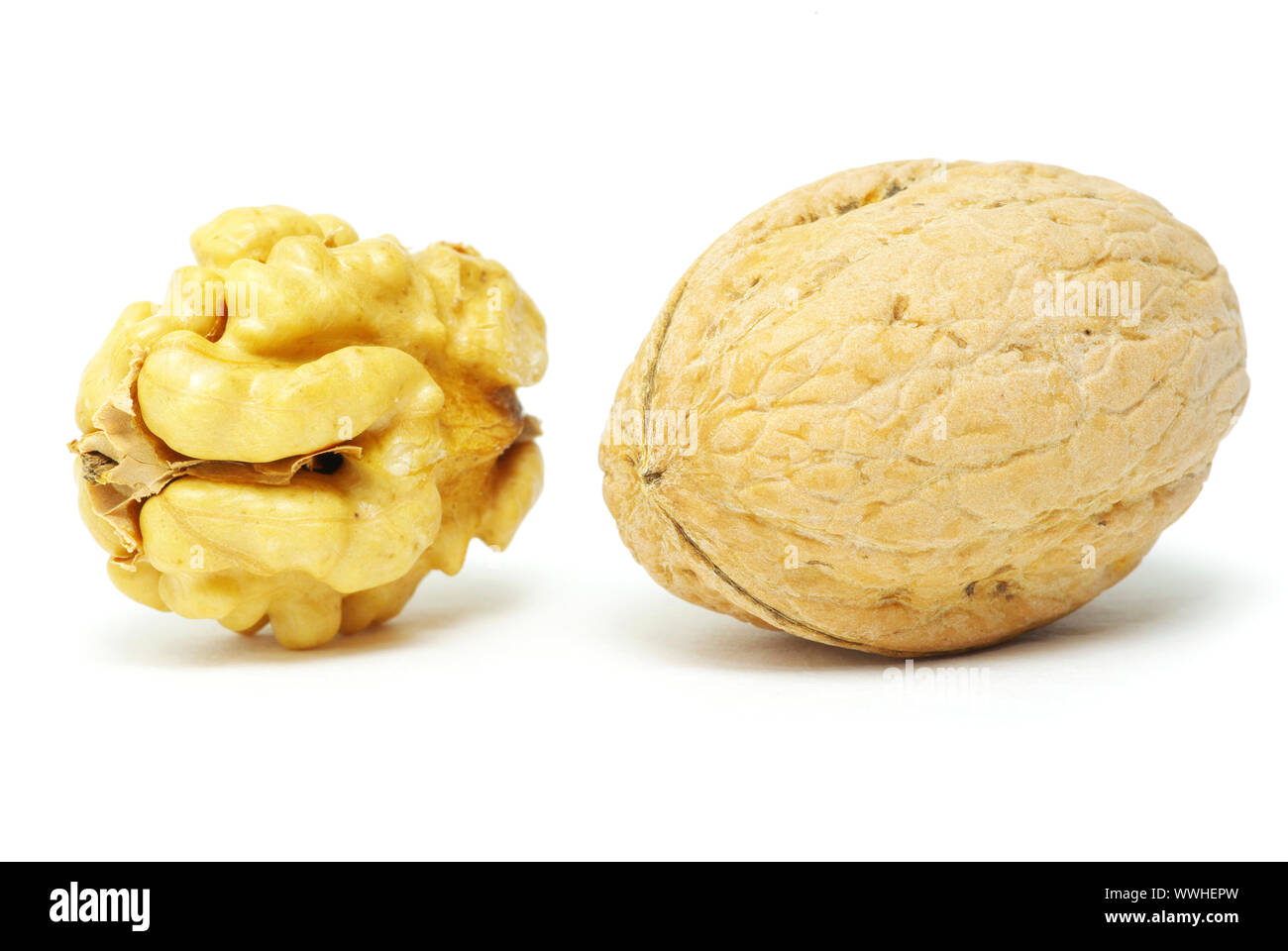 fresh walnuts isolated on a white background Stock Photo - Alamy