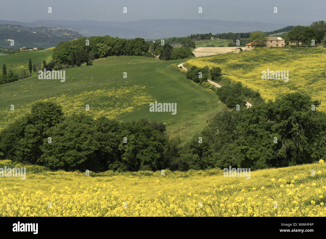 Spring in tuscany hi-res stock photography and images - Alamy