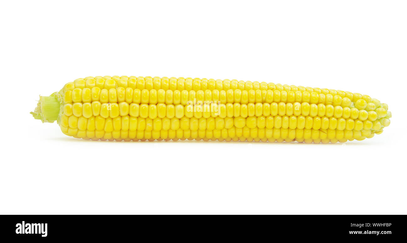 Sweet maize isolated on white background Stock Photo - Alamy