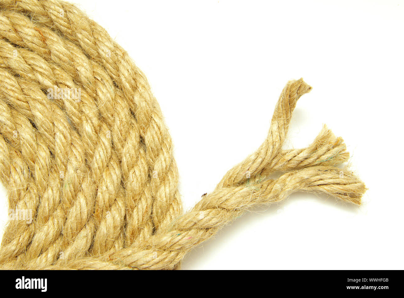 rope isolated on a white background Stock Photo - Alamy